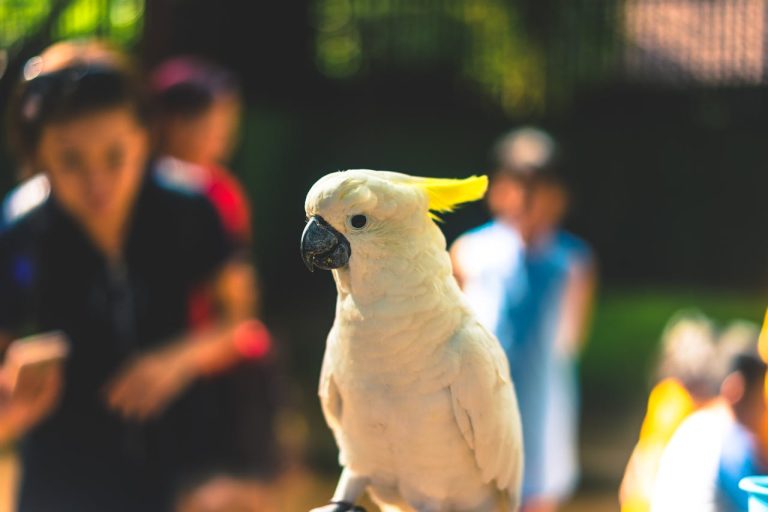 Inilah 10 Manfaat Flora dan Fauna untuk Kehidupan Manusia - Edumaster